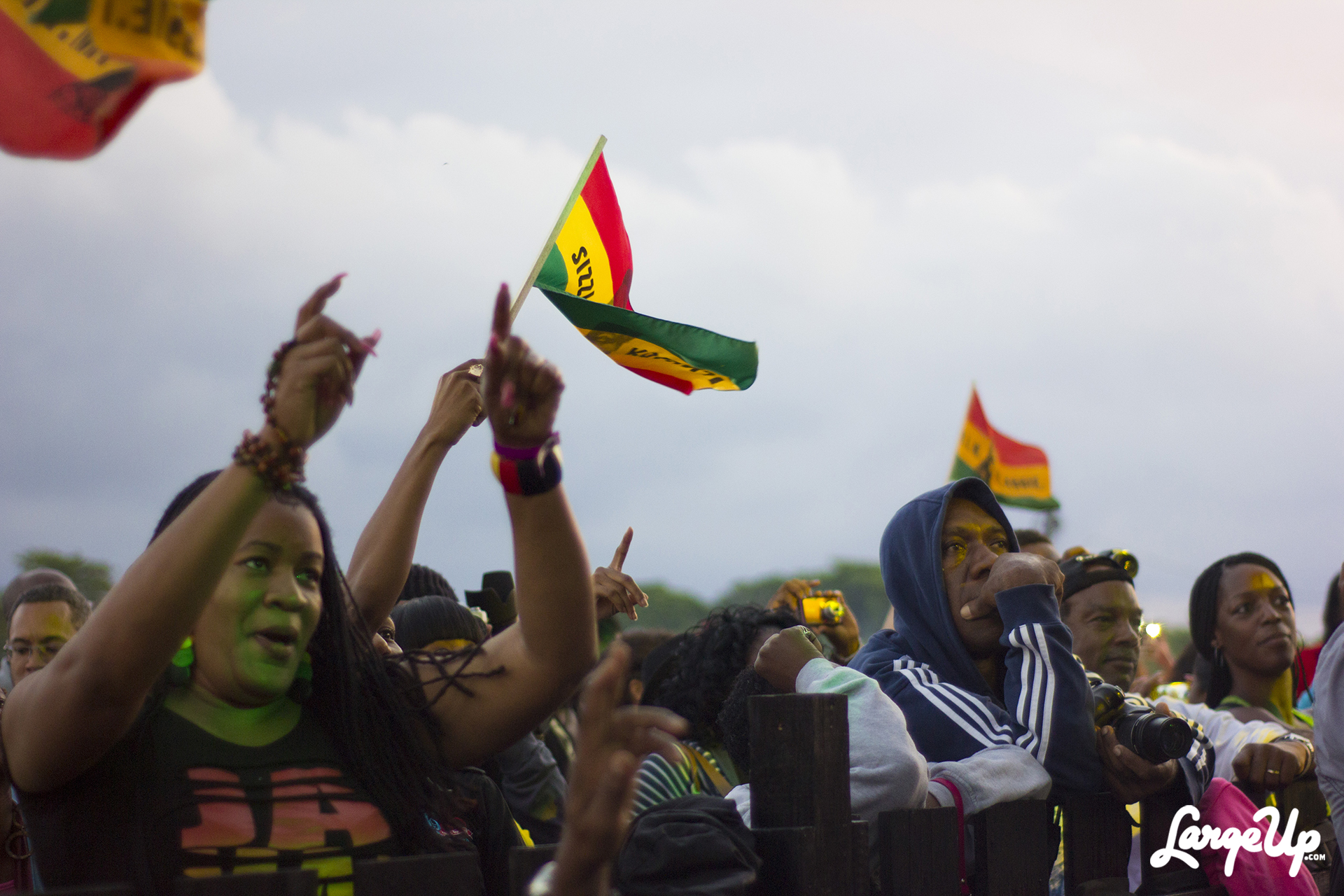 Impressions Vibes Ting At Rebel Salute 2015