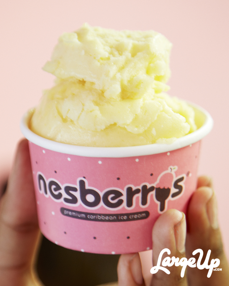 Passion-Fruit-Nesberrys - LargeUp