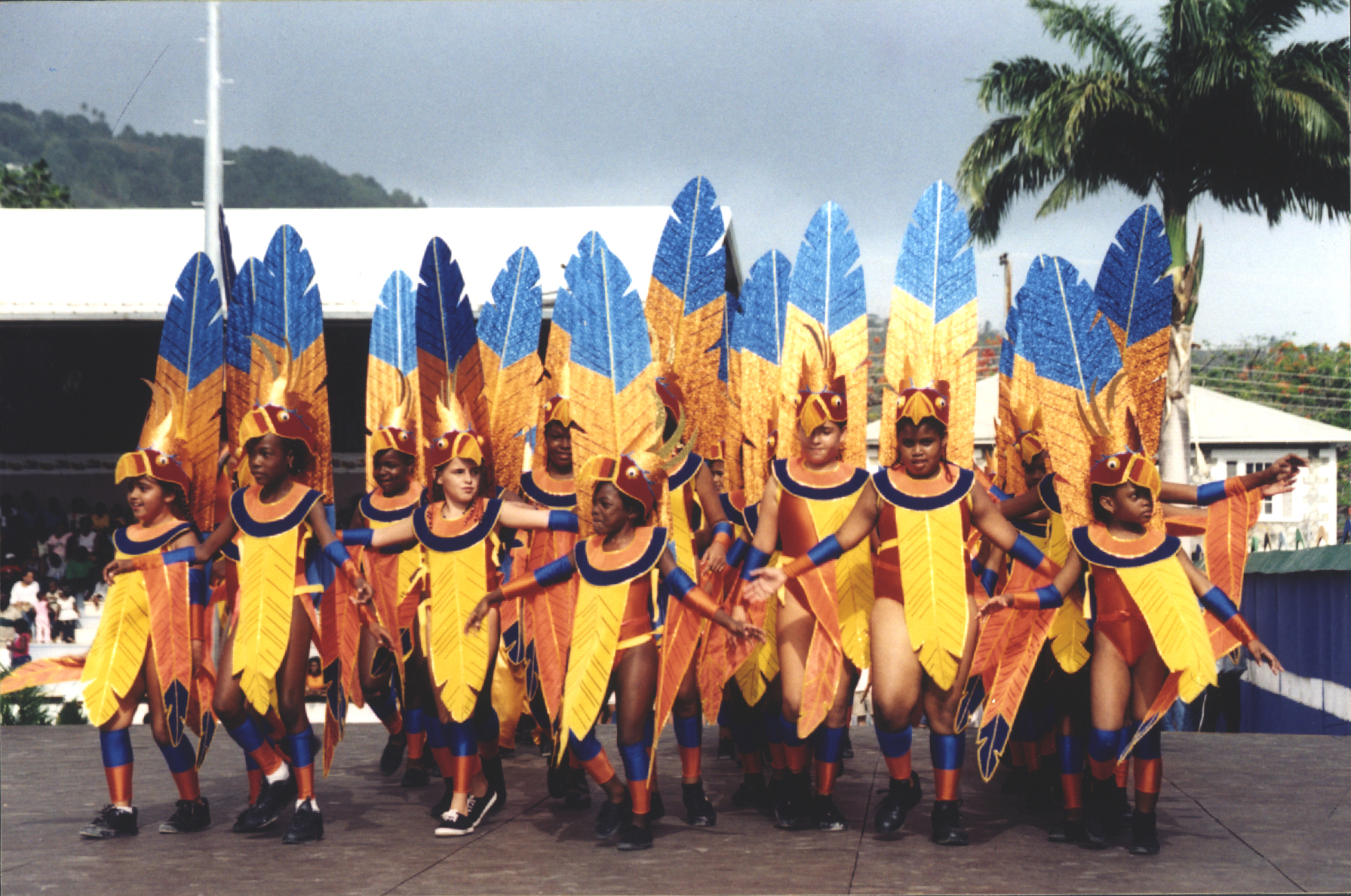 Vincy-Mas-Parrot-Feathers - LargeUp