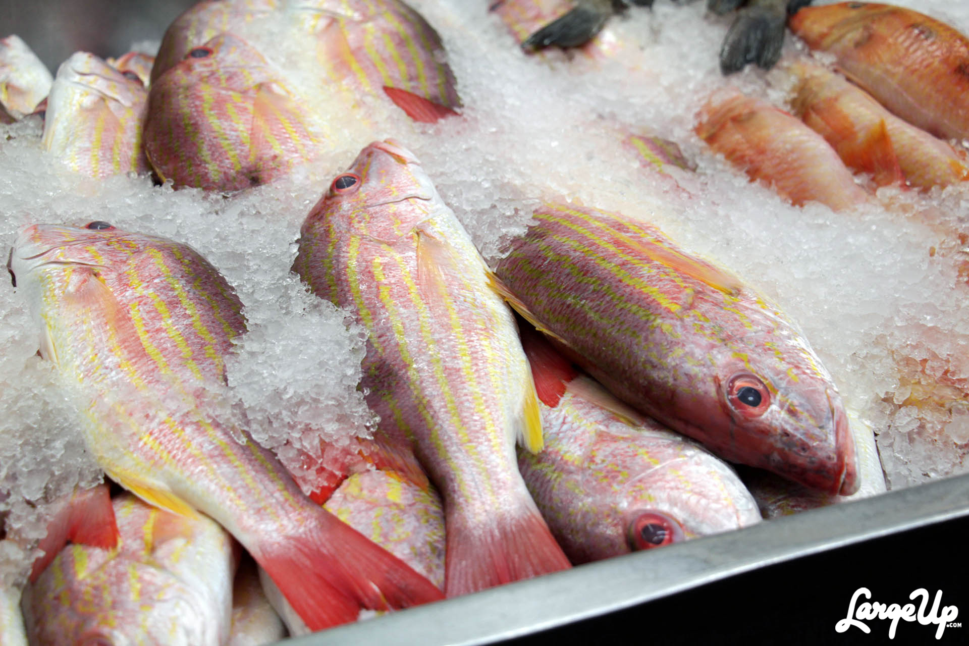 Ground Provisions: Food Shopping with Chris De La Rosa of Caribbean Pot ...