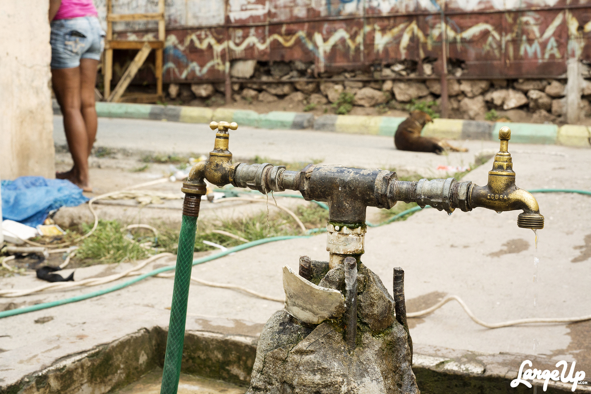 Impressions: African Roots in Kingston, Jamaica - LargeUp